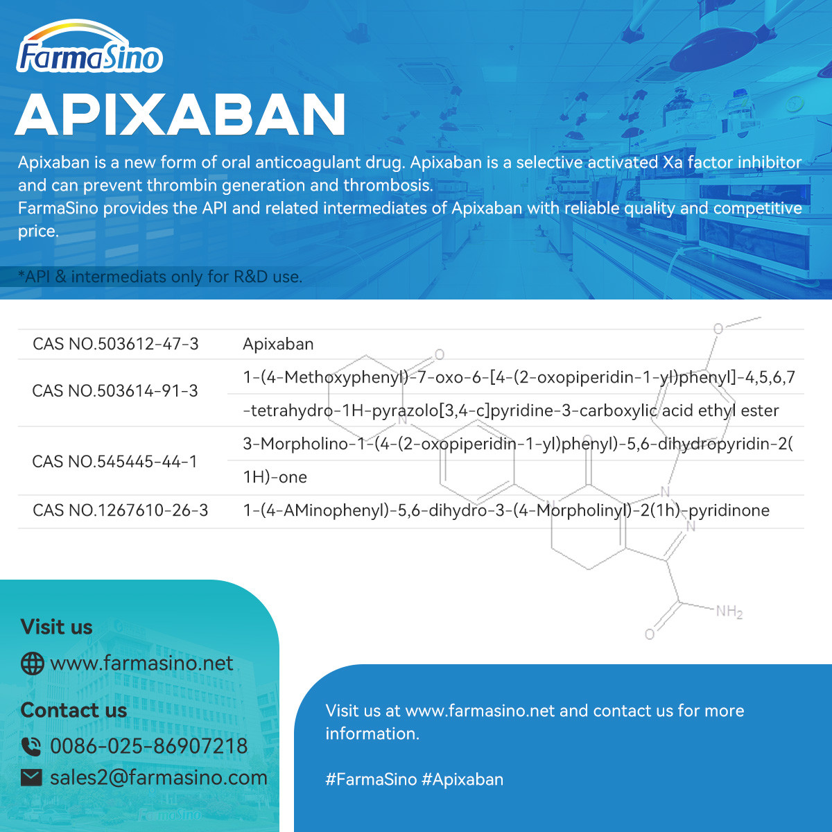 apixaban - 새로운 구강 항혈결제